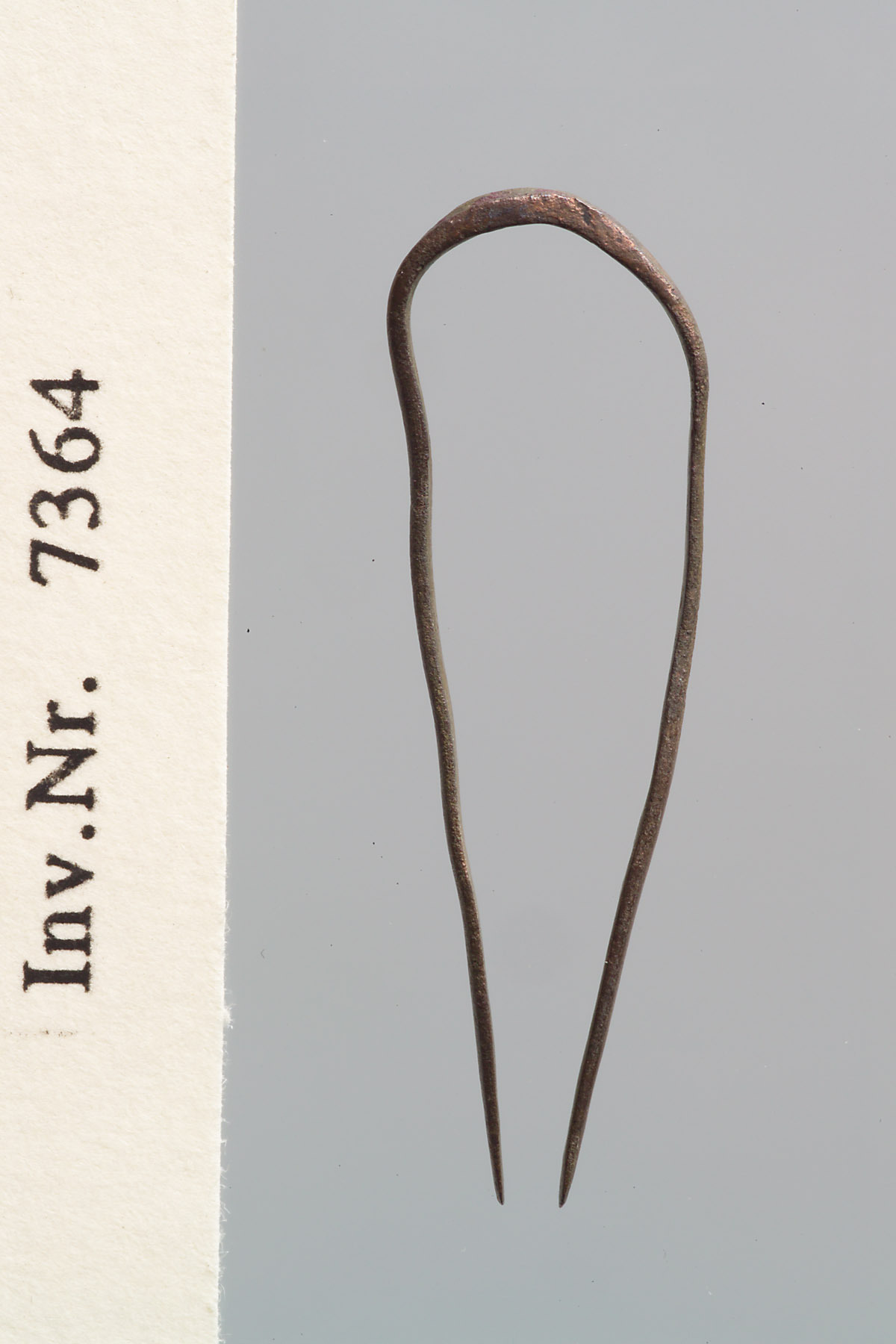 Kunsthistorisches Museum: Pinzette