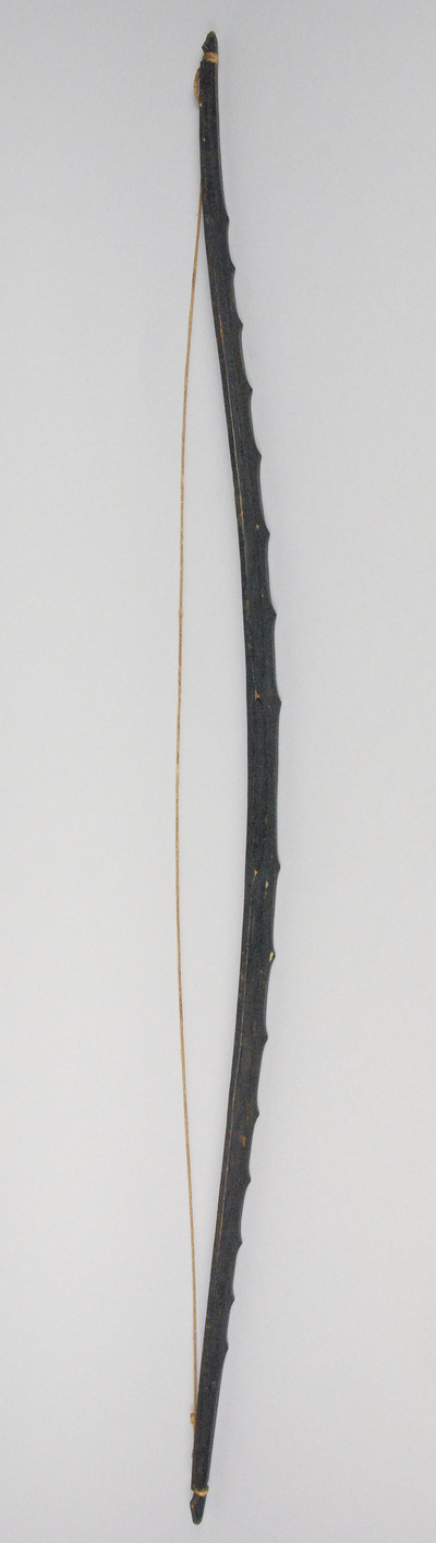 Bogen | Weltmuseum Wien