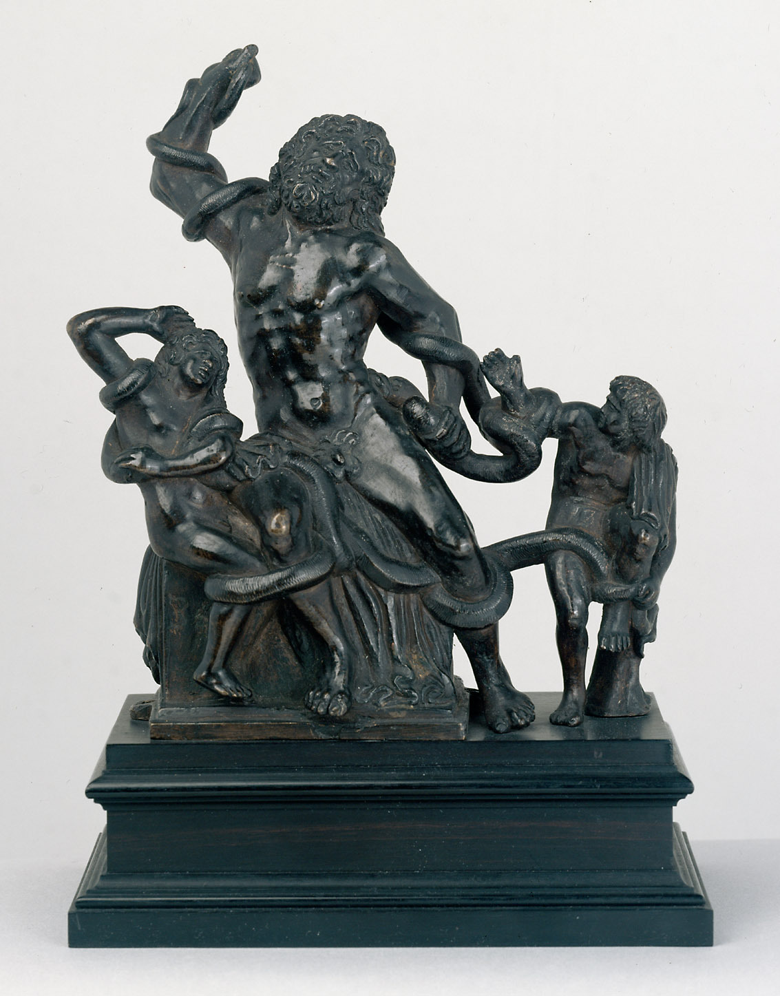 Kunsthistorisches Museum: Laokoon und seine Söhne (nach der Antike)